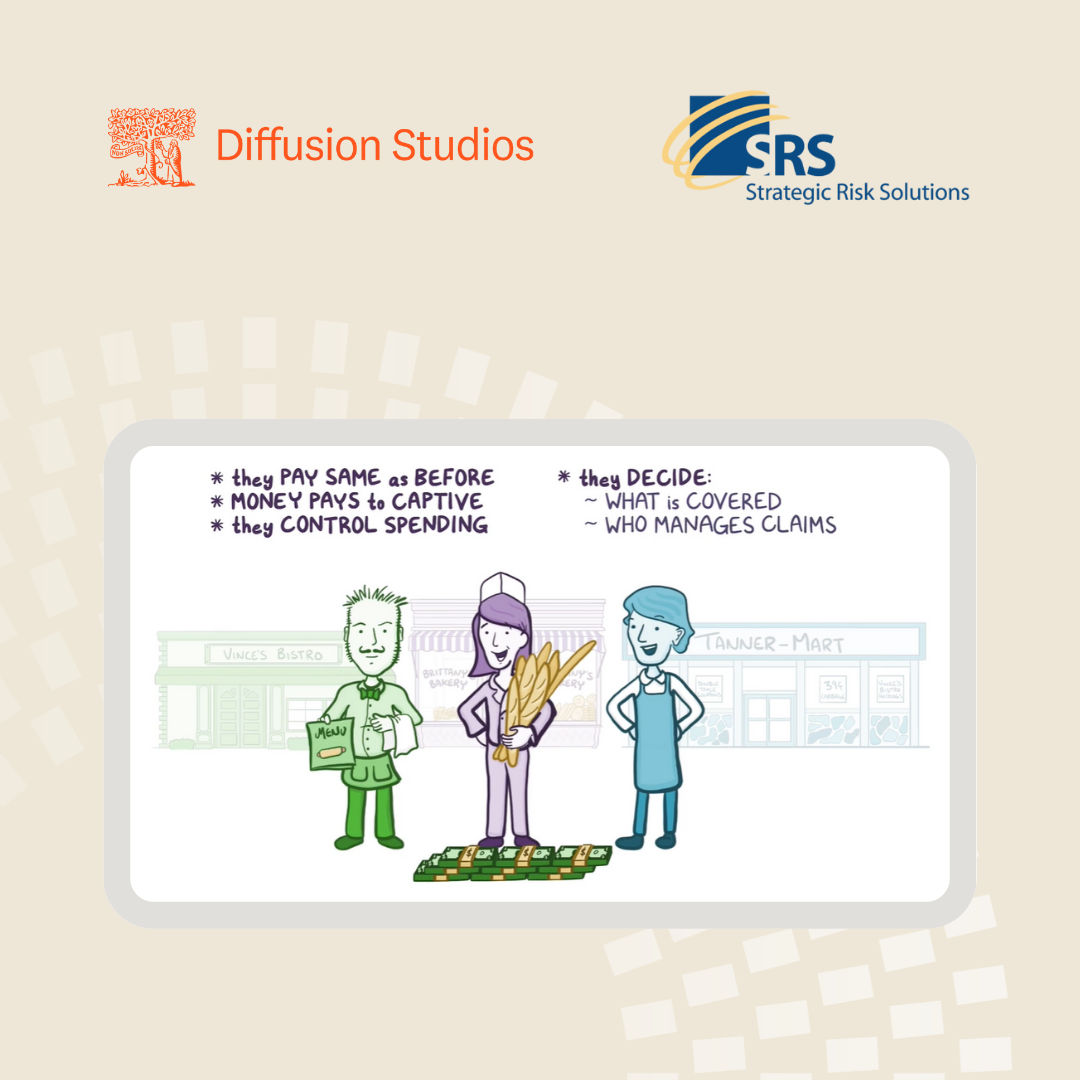 Strategic Risk Solutions Partner Case Study - Diffusion Studios